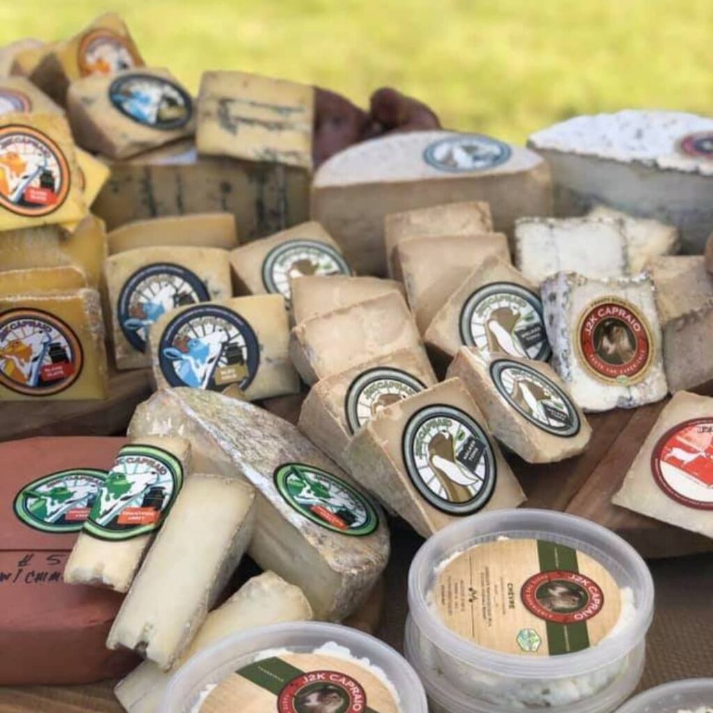 Indiana Cheese Guide | Winners Drink Milk!