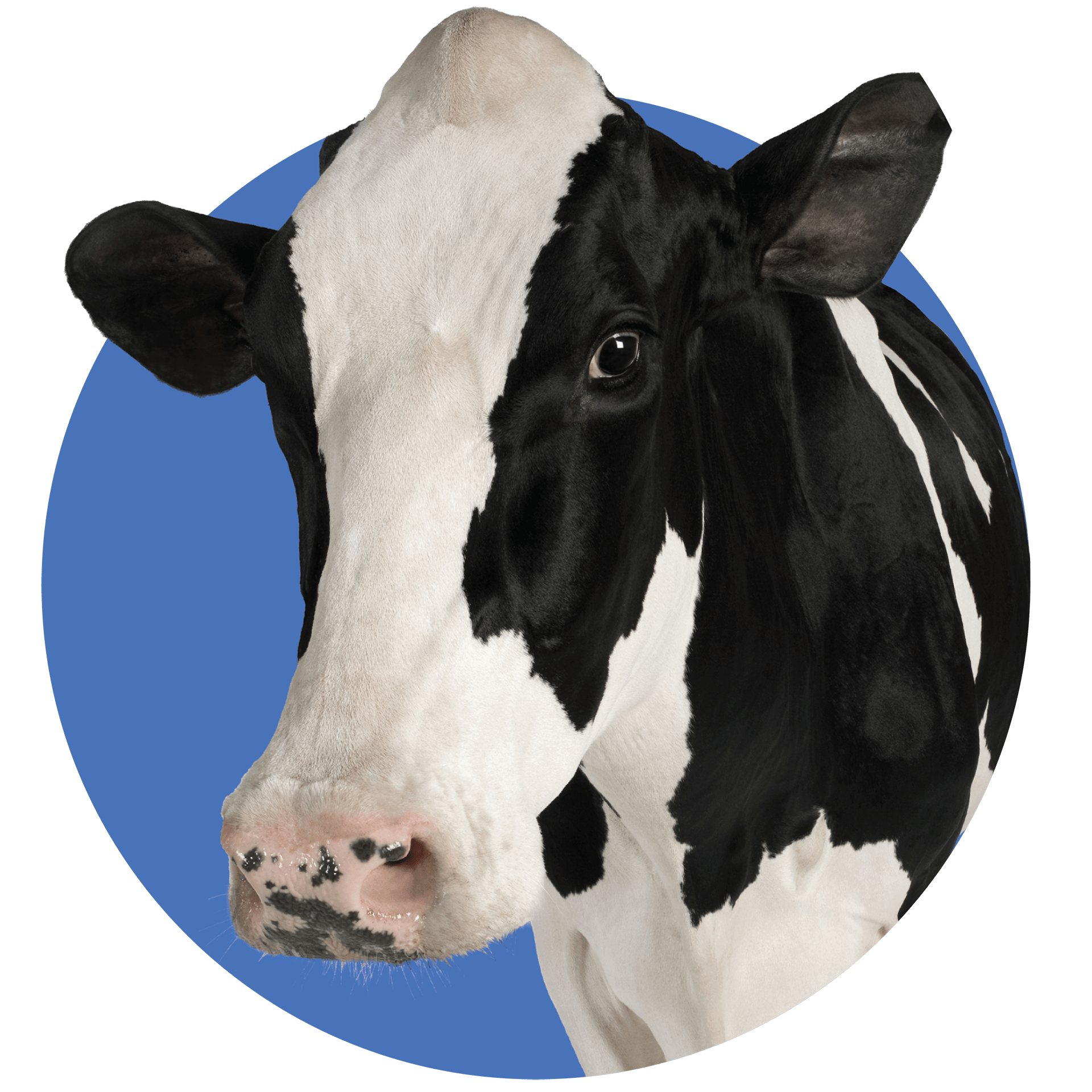 Farm Life | American Dairy Association Indiana (ADAI)