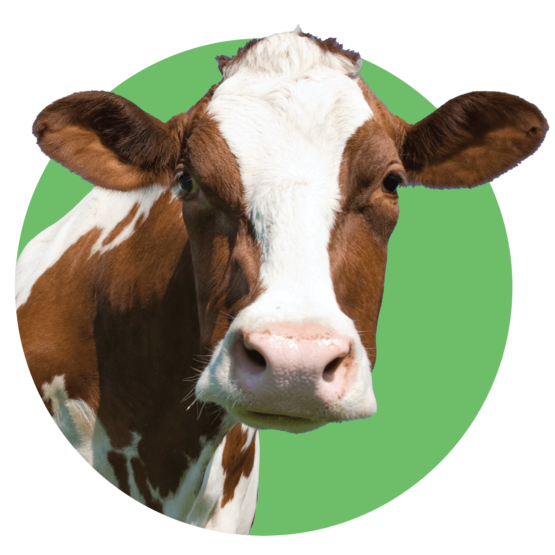 Farm Life | American Dairy Association Indiana (ADAI)